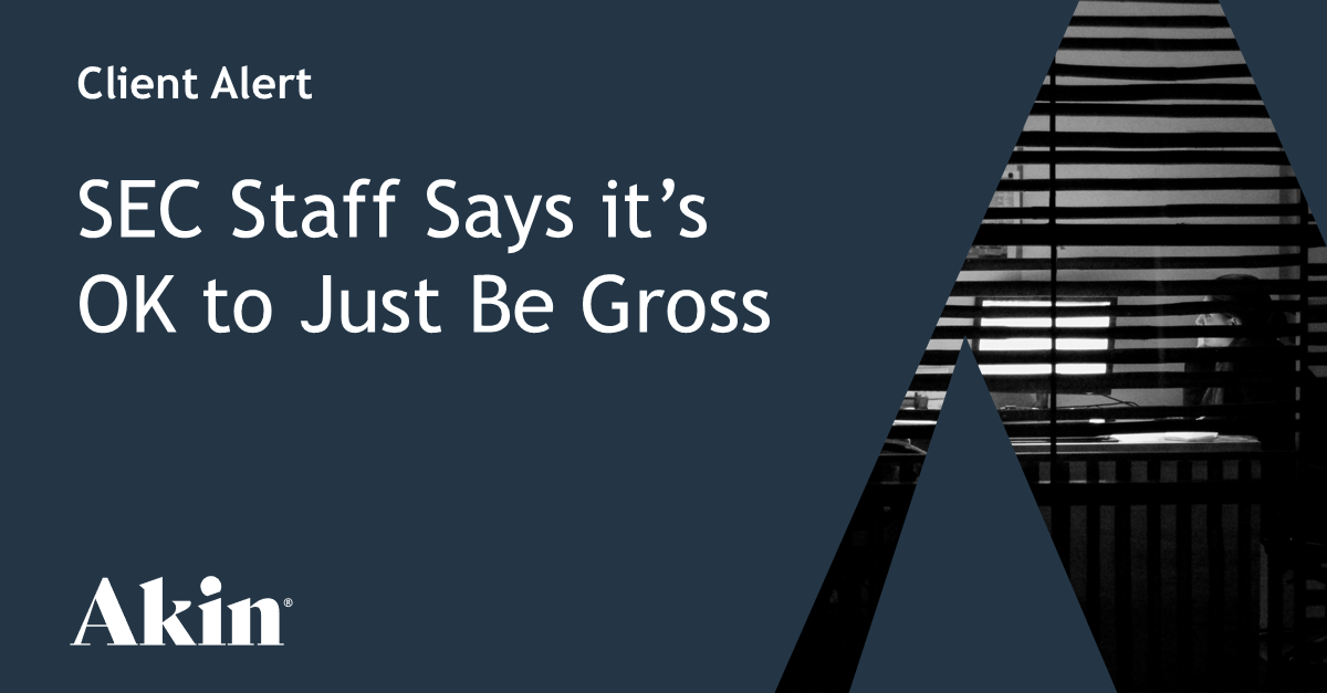 SEC Staff Says it’s OK to Just Be Gross | Akin
