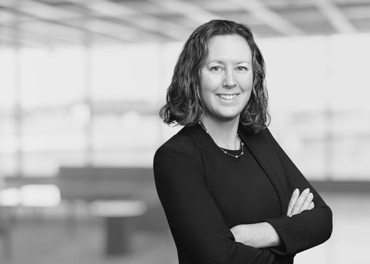 Customs & Import Controls | Akin Gump Strauss Hauer & Feld LLP