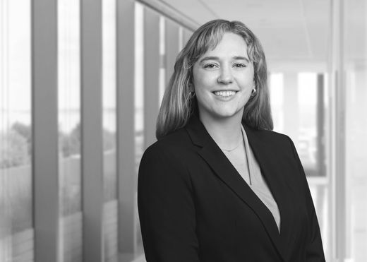 Disputes & Investigations | Akin Gump Strauss Hauer & Feld LLP