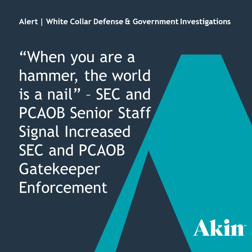 “When you are a hammer, the world is a nail” – SEC and PCAOB Senior ...