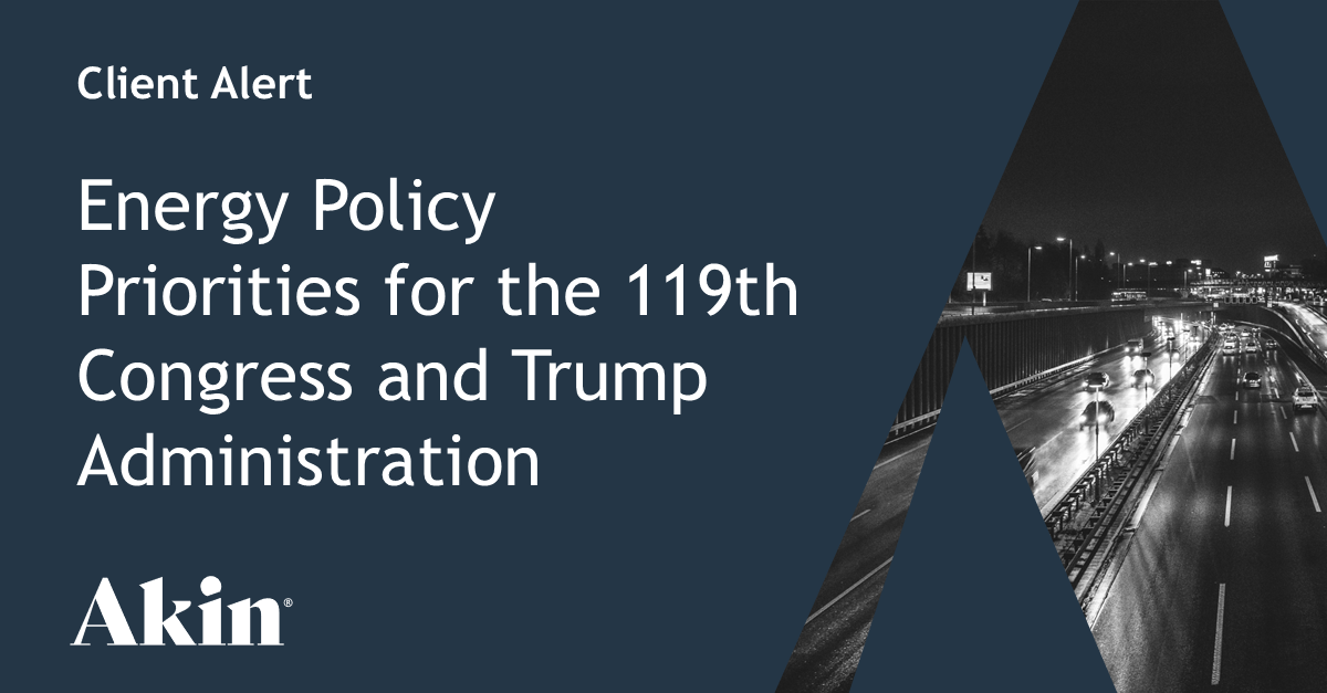 Energy Policy Priorities for the 119th Congress and Trump ...